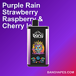 Bang 30K Pro: 30,000 Puffs Disposable Vape with Dual-Flavor System ...