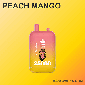 Bang King 25000: 25K Puffs Disposable Vape with 46ml E-Liquid - BangVapes