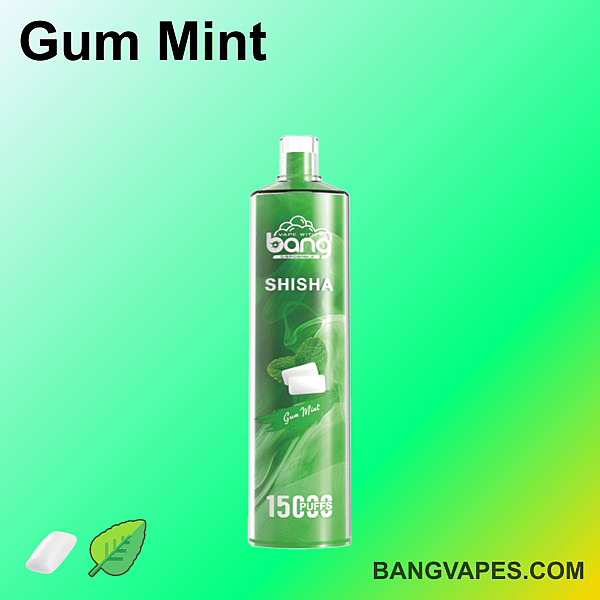 Bang Shisha 15000: Premium-Vape-Gerät für das ultimative Erlebnis – Gum ...